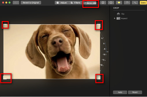 How to Crop A Picture Online or Offline Freely (Computer and Phone)