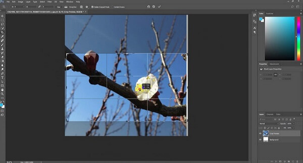 How to Crop A Picture Online or Offline Freely (Computer and Phone)
