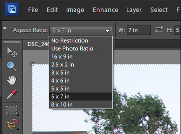 How to Crop A Picture Online or Offline Freely (Computer and Phone)