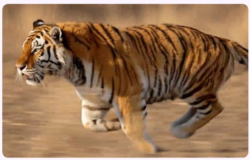 Learn All the Best AI Features for Enhancing UGC Video Quality