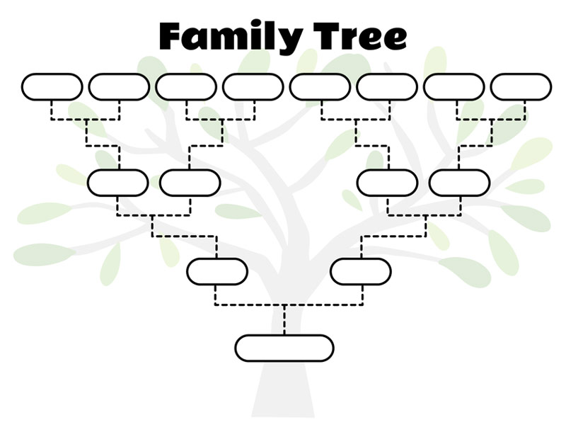 What Is A Family Tree And 5 Best Family Tree Makers 2022